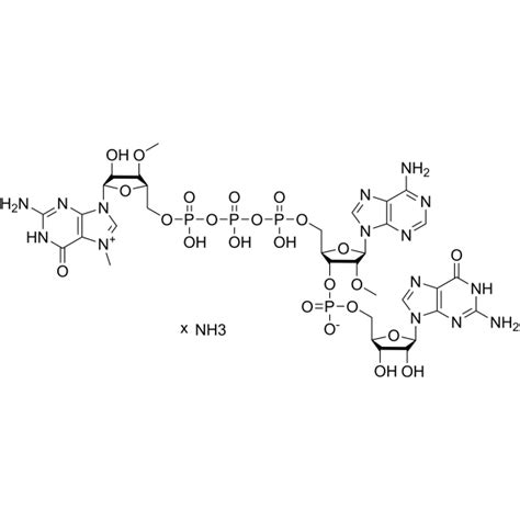 3ome M7gpppampg Ammonium Solution 100mm M73omeg5ppp52