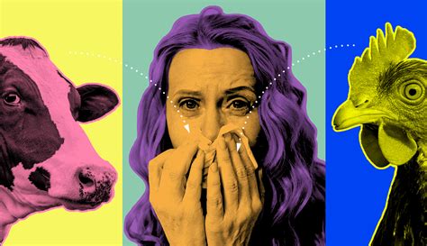 Everything You Need To Know About Bird Flu