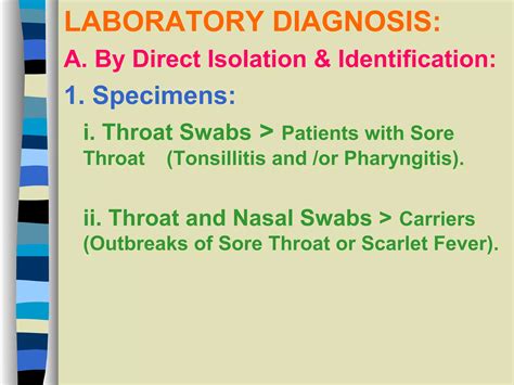 Lecture 3 Streptococcus Pyogenes Ppt