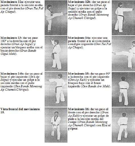 Tae Kwon Do Técnicas
