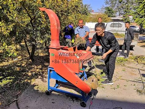 Zambian Client Bought Animal Feed Cutting Machine And Pellet Machine