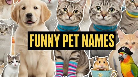 300 Funny Pet Names Hilarious Options Thatll Make You Laugh Every Day