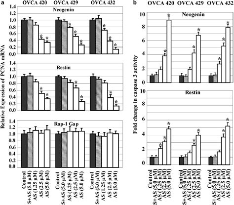 Expression Of Cell Proliferation Marker Pcna And Apoptosis Marker