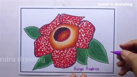 Gambar Sketsa Bunga Rafflesia