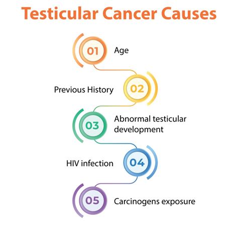 Testicular Cancer Symptoms Causes Diagnosed Treatments