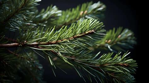 Premium Ai Image Macro Pine Needle Cluster