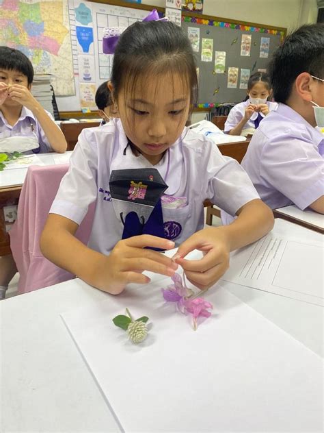 Grade 4 Science Class With Flower Dissections Satit Kaset Ip