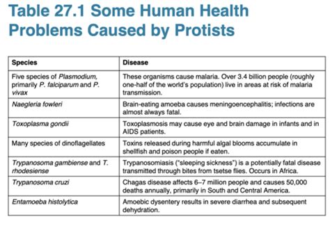 Biol 211 Chapter 27 Flashcards Quizlet