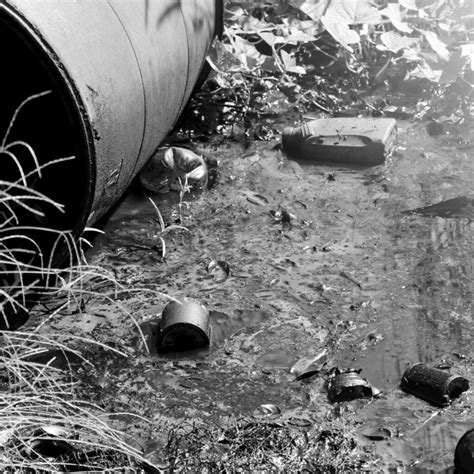 Bulk Plant Facilities