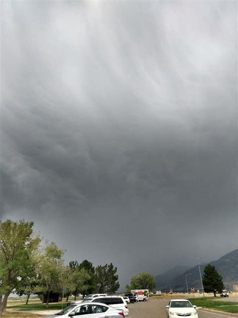 Thomas Elvin Thomasjelvin Twitter