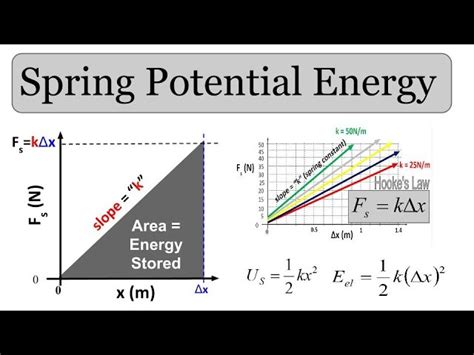Elastic Potential Energy Graph
