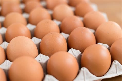 Cracking The Egg Allergy Conundrum A Guide For The Food Industry