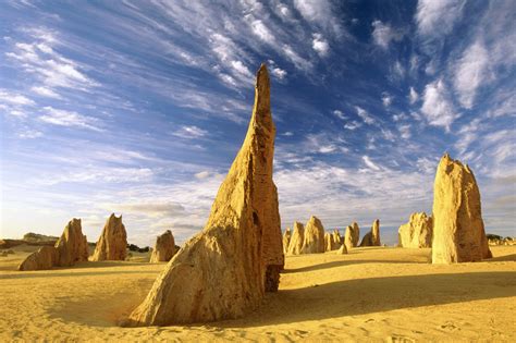 Western Desktop Wallpapers Desert A Lively Desert Scene Pattern With
