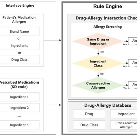 The Three Step Drug Allergy Interaction Check Screening Process 1
