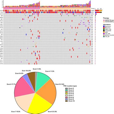 Gene Landscapes And Details Of Tp53 A Oncoprint Of Genomic