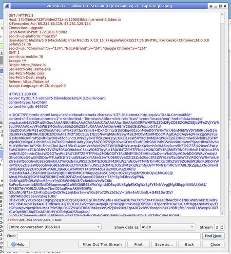 Analyze Tcp Traffic With Wireshark Follow Tcp Stream Feature Labex
