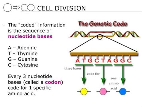 Genetic Code Properties Ppt