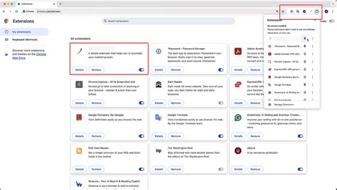 Polymorphic Extensions The Sneaky Extension That Can Impersonate Any