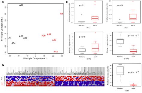 A Principal Component Analysis On Global Gene Expression Profiles