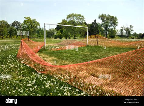 Soccer Field Fence At Taylah Scobie Blog