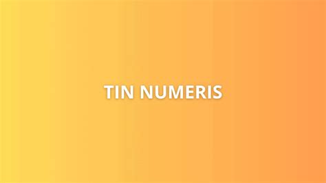 Mokesčių Mokėtojo Identifikacinis Numeris Tin Numeris Sąskaita123