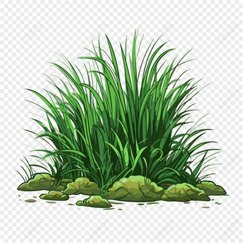 Picture Of Grass Vector Grass Pictures Pictures Sticker Vector