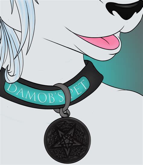 Collar Close Up — Weasyl