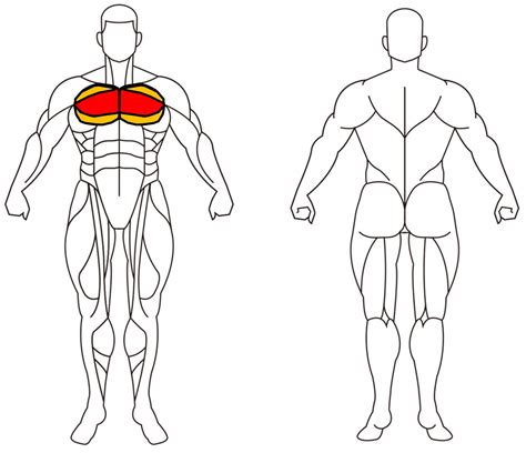 Brust Marvinsfitnessblog