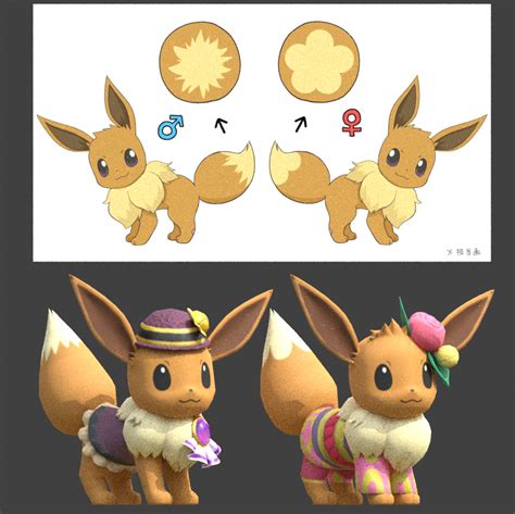 What Is The Difference Between Male And Female Eevee At Annette Stephens Blog