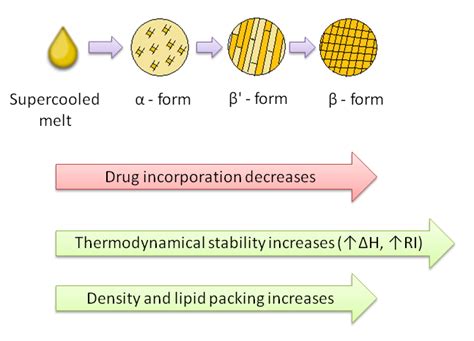 Schematic Representation Of The Polymorphic Forms Of The Lipids In
