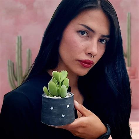 Bonita Tarde 🌃 Les Comparto Como Hago Mis Macetas Todo Es Maceta 🪴