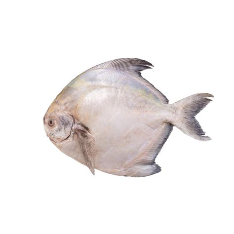 Pomfret Aquakonnect