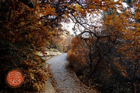 岩壁下的古城——梅萨维德国家公园 Mesa Verde National Park Usa 玩家365 ｜ Wanka