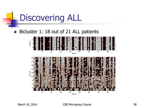 Ppt Gibbs Biclustering Of Microarray Data Powerpoint Presentation Free Download Id185436