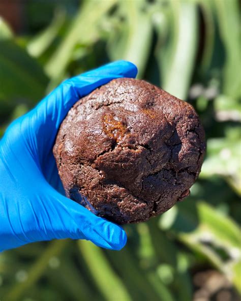 Power Brownie Cookies Estilo Newyork En Uruguay Galletika Energy