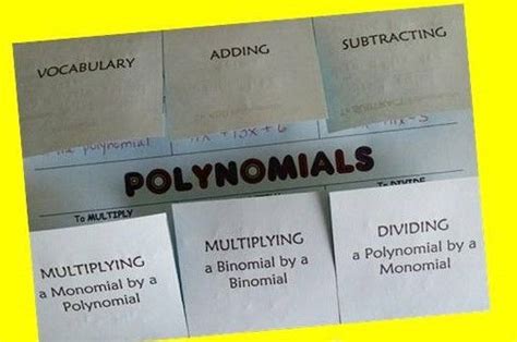 Polynomials Foldable Polynomials High School Math Middle School Math