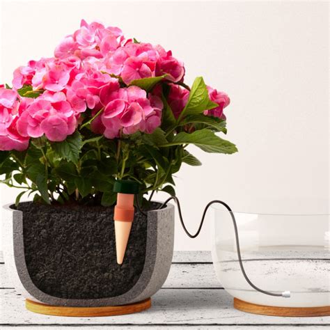 Blumat Classic Standard Sensor Online Hydroponics Shop