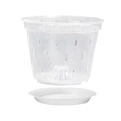 5 Inch Phalaenopsis Planter Clear Orchid Planter Root Control With Hole