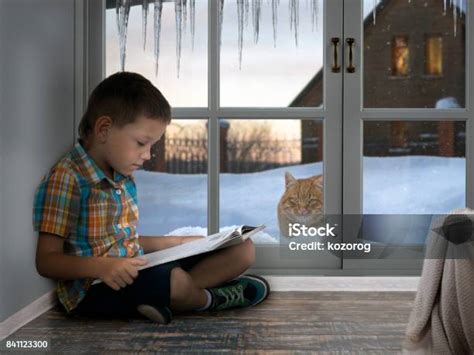 책을 읽는 소년 겨울 눈와 차가워요입니다 길 잃은 고양이 집에서 창문을 통해 보이는 읽기에 대한 스톡 사진 및 기타 이미지 읽기 무시하는 아이 Istock