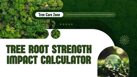 Tree Root Strength Impact Calculator Tool
