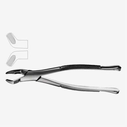 American Pattern Tooth Extraction Forceps Fig 210s Xelpov Surgical