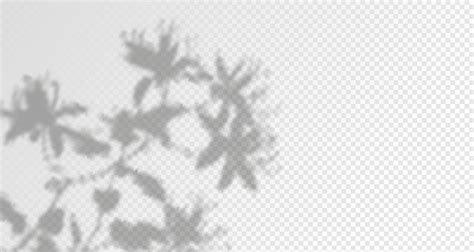 Flower Shadow Pattern Vector Art Icons And Graphics For Free Download