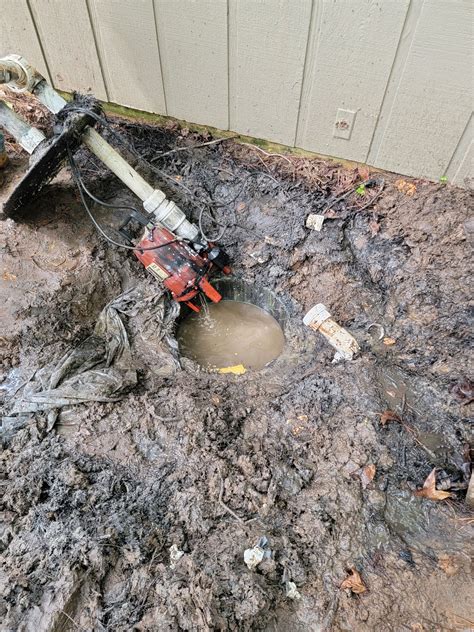 How To Get Rid Of Septic Flies Sink Flies Greenpro