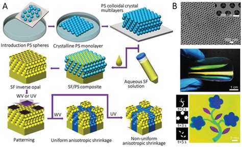 Template‐assisted Self‐assembly For The Manufacture Of Sf Download