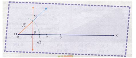 Cbse Class 9 Maths Lab Manual Square Root Spiral Cbse Sample Papers
