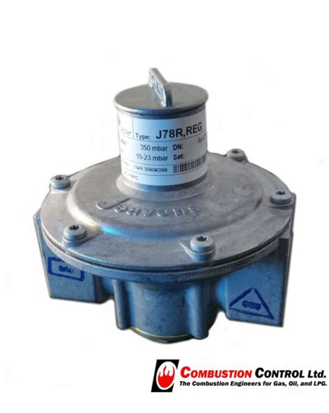 Gas Regulators For Natural Gas And Lpg Combustion Control