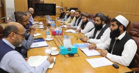 طالبان له ملګرو ملتونو غواړي چې د کوچنیو پورونو او د بیکارۍ کچې کمولو کې هلې ځلې ډیرې کړي