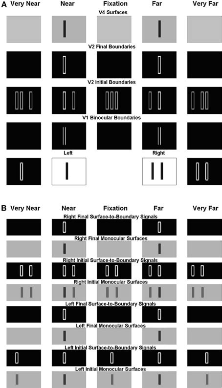 Simulation Of Dichoptic Masking In Panums Limiting Case Studied By
