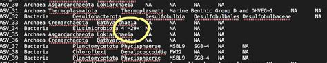 error failed to perform normalization how to solve