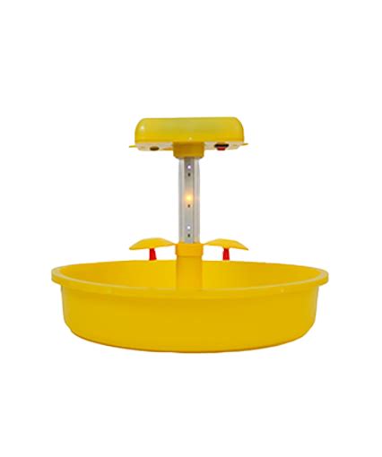 Solar Insect Killer And Trapper In India Ece India